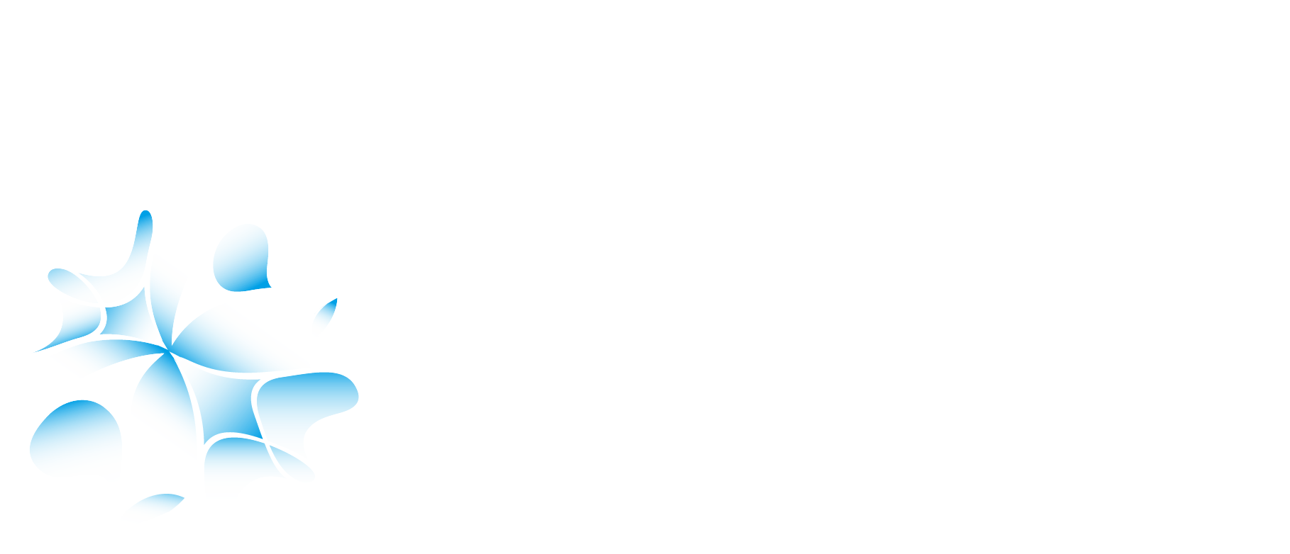 Jie Ma BIMSA
